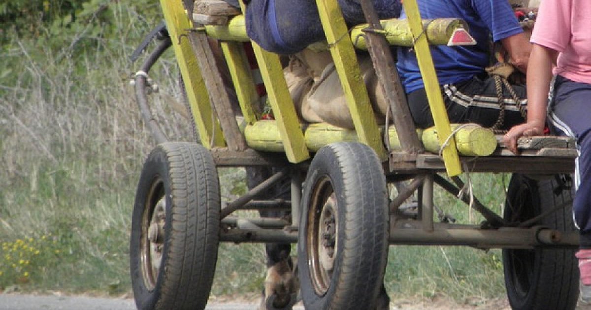 Кметът на Сливен иска да забрани каруците - Моят град — Новини Стандарт