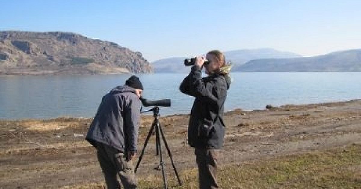20 вида водолюбиви птици зимуват в Източните Родопи - Общество — Новини ...