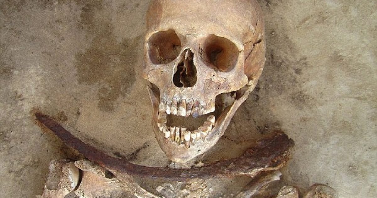 НОВ СКОК СЪС 130 лв. НА ШОФЬОРСКИТЕ КУРСОВЕ - Любопитно — Новини Стандарт